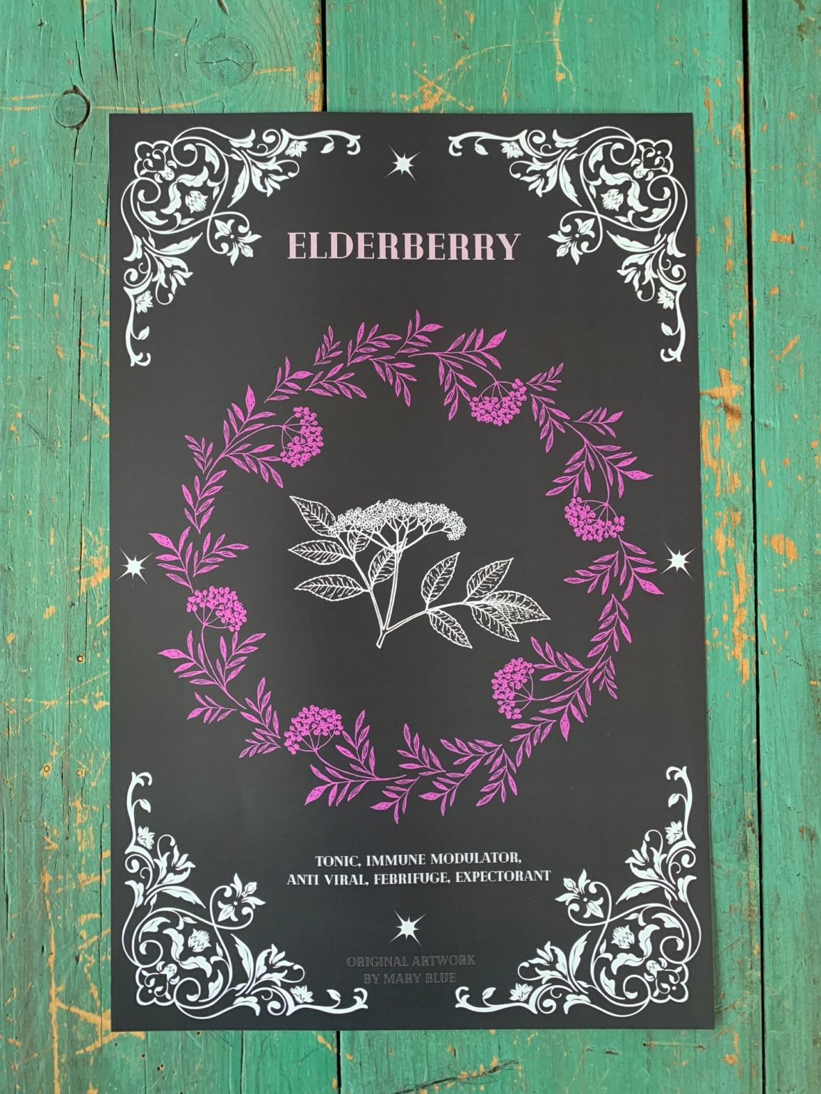 Herbal Posters – Mary Blue ~ Online Herb School